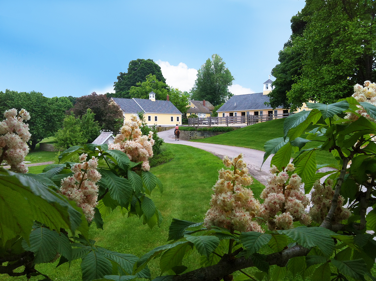 Giving Thanks, Radical Acceptance and Gathering Together - Landvest Blog